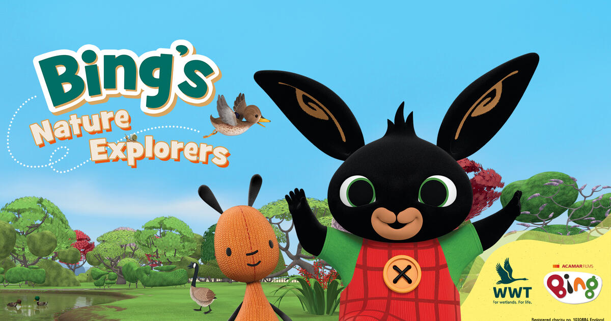 Explore UK wetlands with Bing and Flop! | Bing Bunny