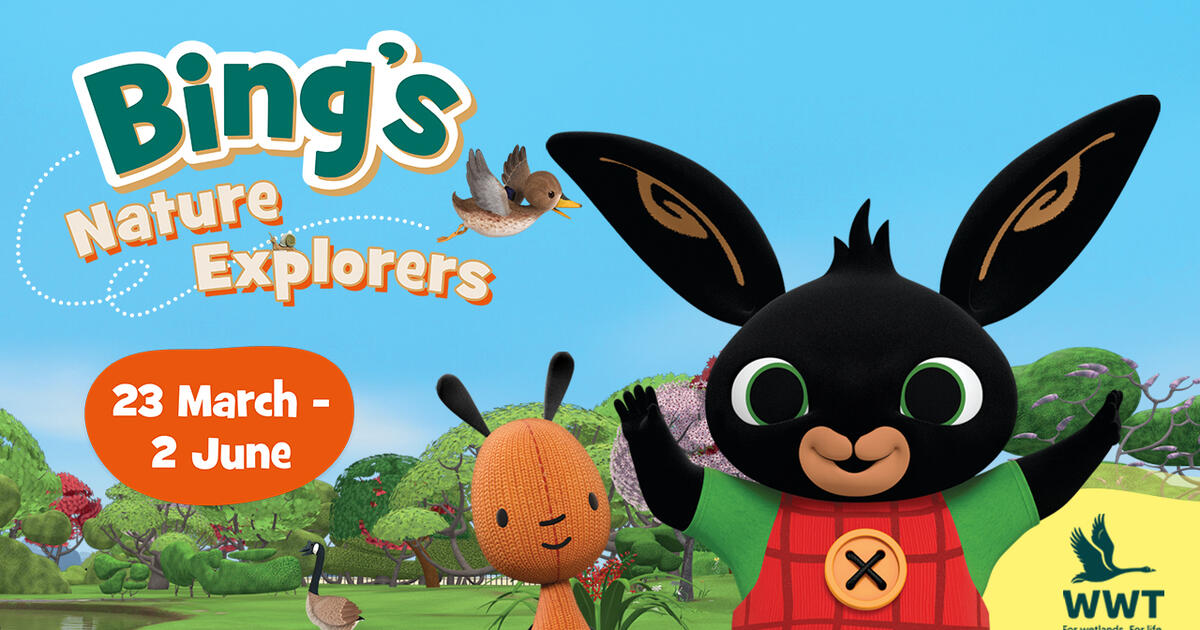 Bing's Nature Explorers at WWT | Bing Bunny